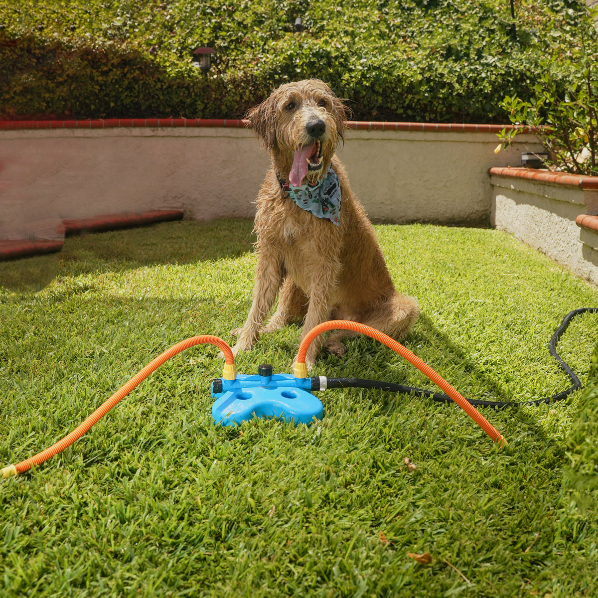 Wild Dogs Water Toys - Shop Water Toys for Dogs